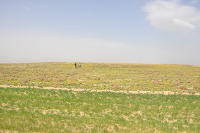 Tall-e Malyan - Ancient Anshan - Vici.org