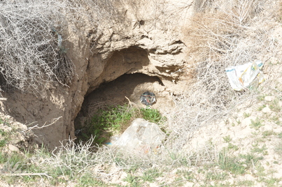 Tall-e Malyan - Ancient Anshan - Vici.org