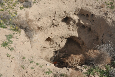 Tall-e Malyan - Ancient Anshan - Vici.org